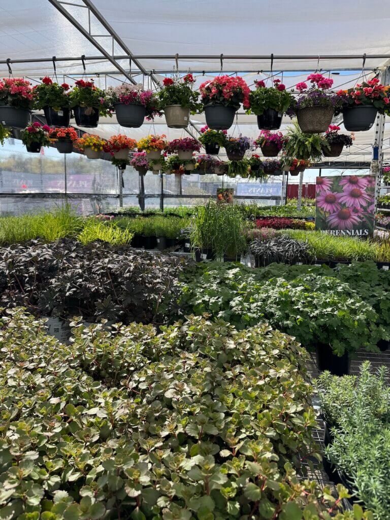 We've Branched Out! - Connon Nurseries