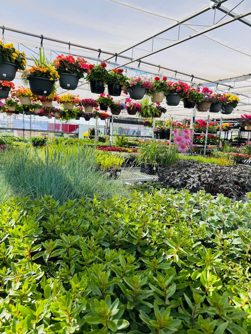 We've Branched Out! - Connon Nurseries
